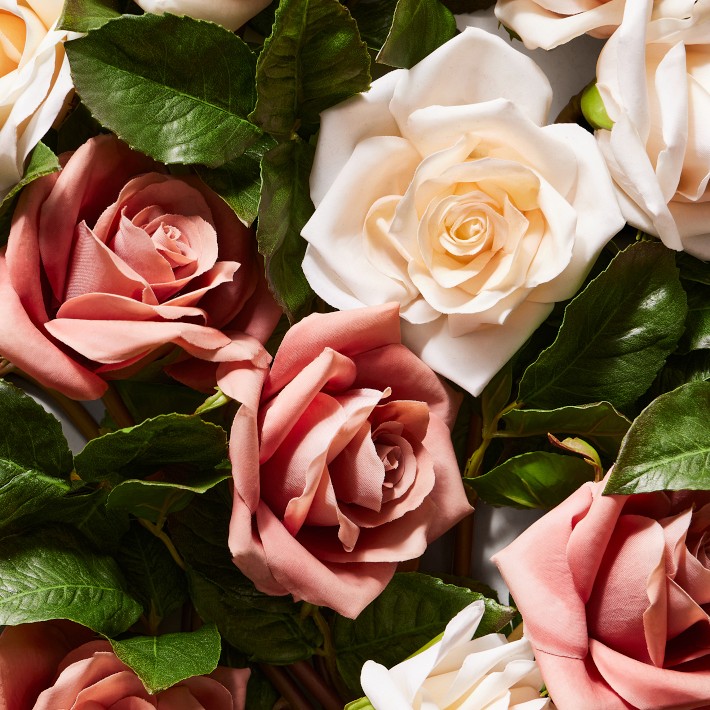 Jeff Leatham Real Touch Faux Mocha Rose Stems, Set of 12 | Williams Sonoma