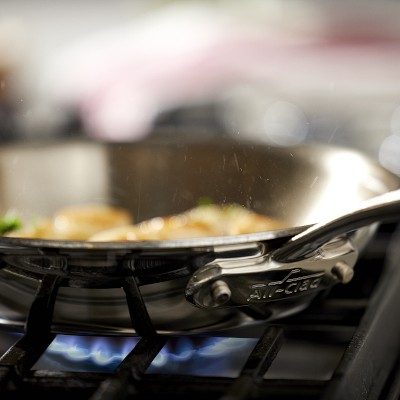 All-Clad G5 Graphite Core Stainless-Steel Fry Pan | Williams Sonoma
