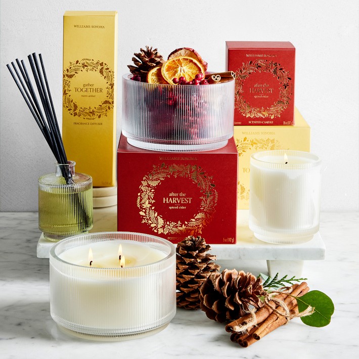 Fall Home Scents Collection | Williams Sonoma