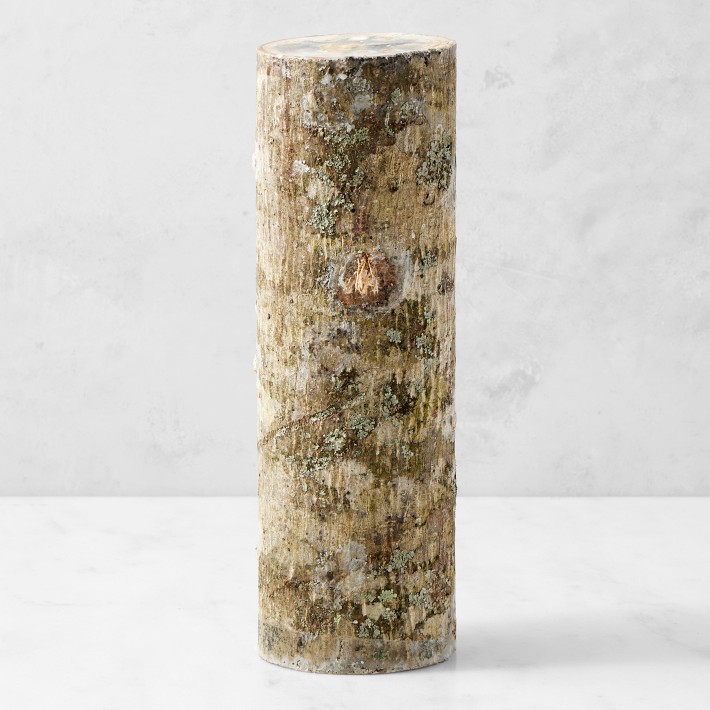 Oyster Mushroom Log Kit | Mushroom Growing Kit | Williams Sonoma