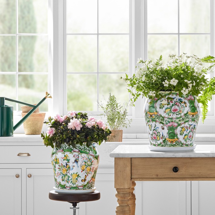 Famille Rose Planter Collection | Williams Sonoma