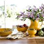 Provençal Dinnerware Collection | Williams Sonoma