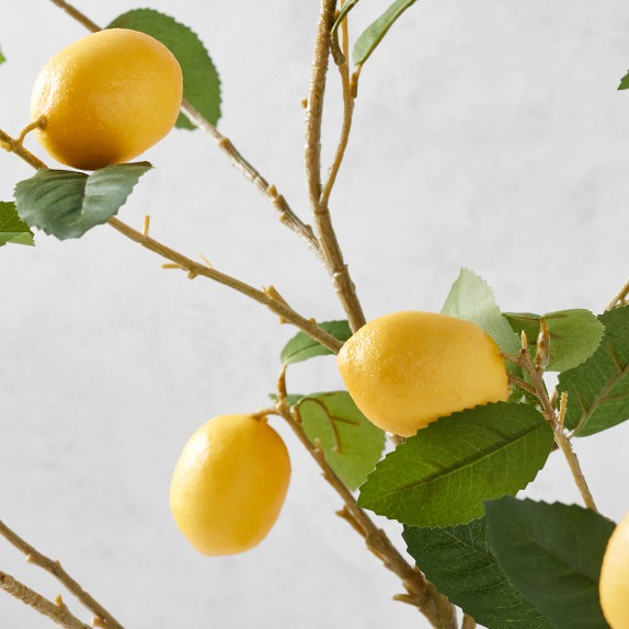 Faux Lemon Branches, Set of 3 | Williams Sonoma