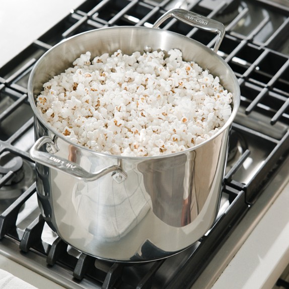 Stock Pots & Multipots | Large Soup & Stock Pots | Williams Sonoma