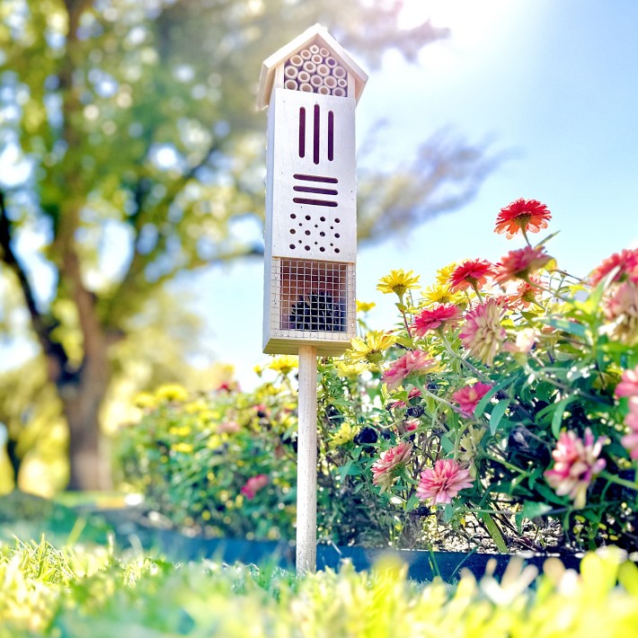 Pollination Palace 5 Compartment Wooden House for Bees, Butterflies ...