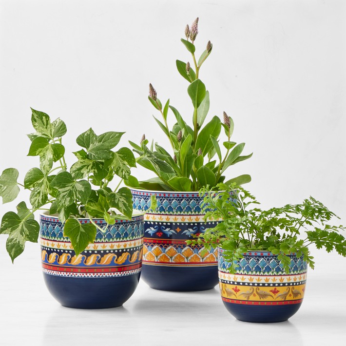 Sicily Cache Pot Collection | Williams Sonoma