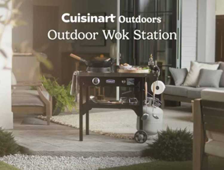 Cuisinart Outdoor Wok Station | Williams Sonoma