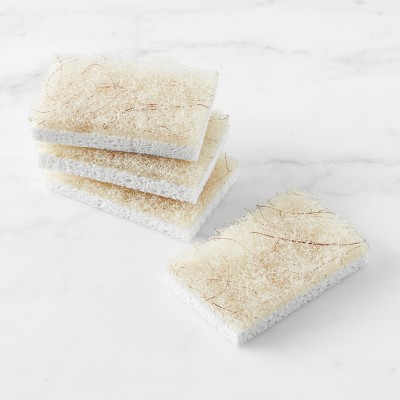 Full Circle Cleana Colada Coconut Scrubber Sponge | Williams Sonoma