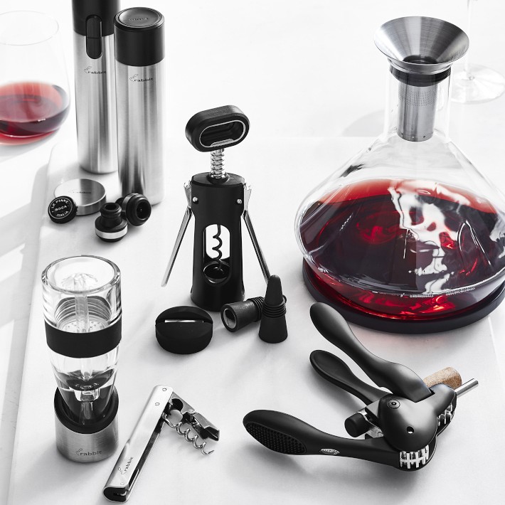 Rabbit Pro Aerating Wine Decanter | Williams Sonoma