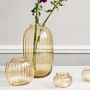 Primula Oval Glass Vase | Williams Sonoma