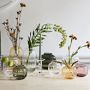 Primula Oval Glass Vase | Williams Sonoma