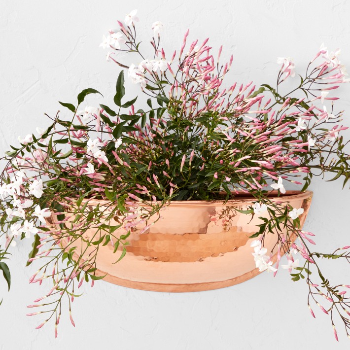 Copper Half Round Wall Planter | Vertical Garden | Williams Sonoma