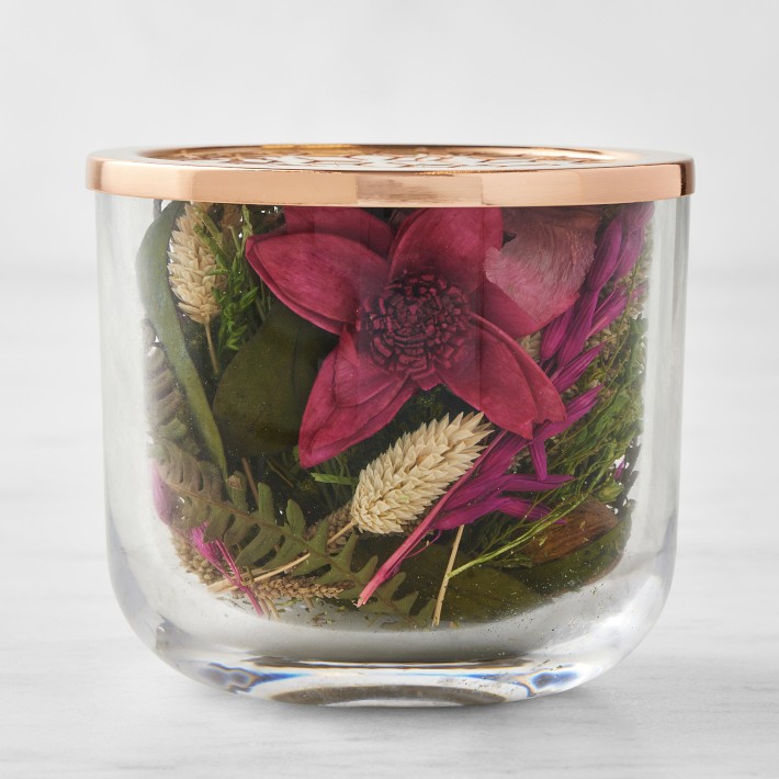 Home Fragrance Potpourri Orchid & Fern | Williams Sonoma
