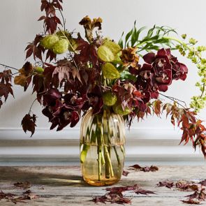 OPEN BOX: Primula Oval Vase, Amber, 4.9" | Williams Sonoma