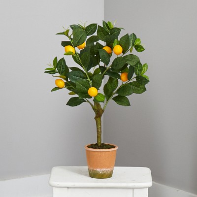 Faux Lemon Tree in Pot, 24" | Williams Sonoma