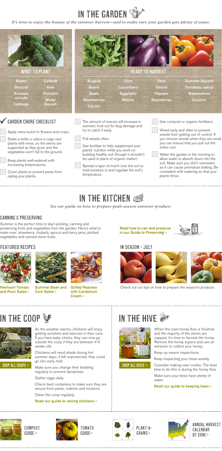 July Garden Almanac - What to Grow and Plant in July | Williams Sonoma